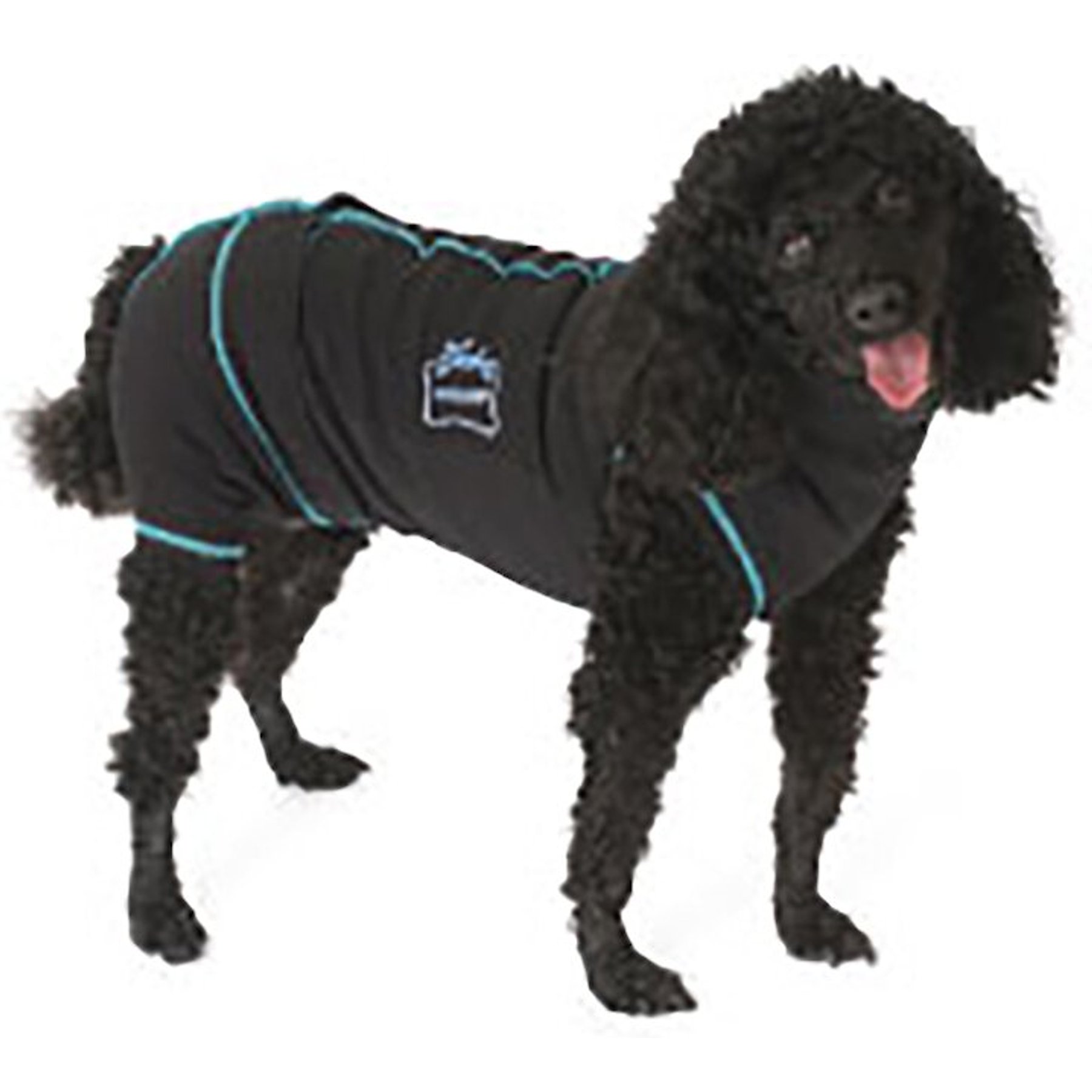 MEDIPAW Recovery Protective Dog Suit, Small - Chewy.com
