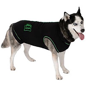 MEDIPAW Recovery Protective Dog Suit, Large - Chewy.com