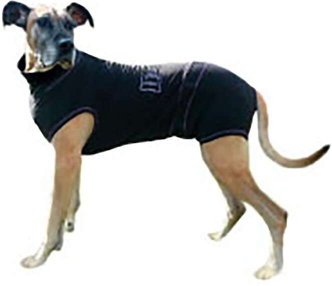 MEDIPAW Recovery Protective Dog Suit, X-Large - Chewy.com