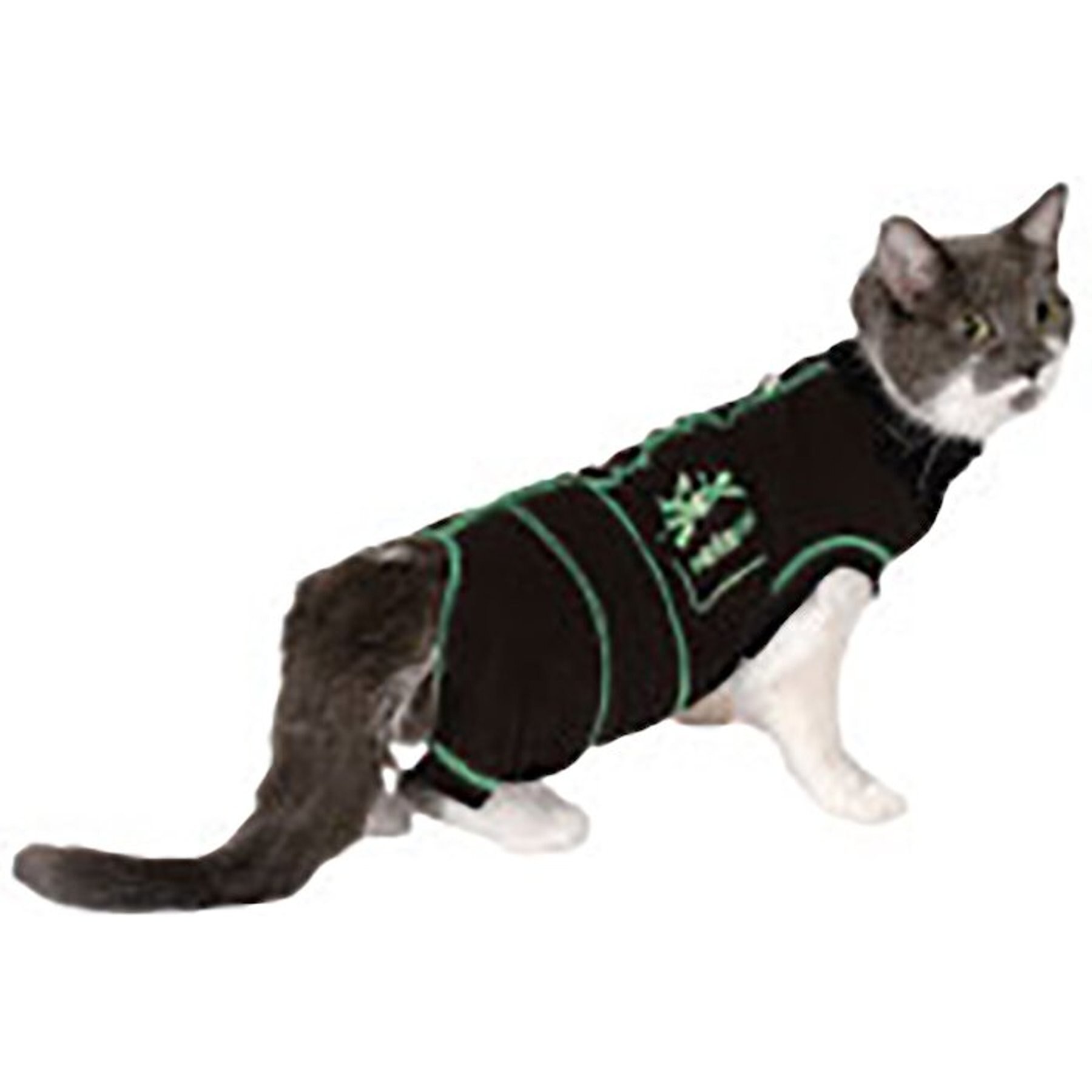 MEDIPAW Recovery Protective Cat Suit, Large - Chewy.com