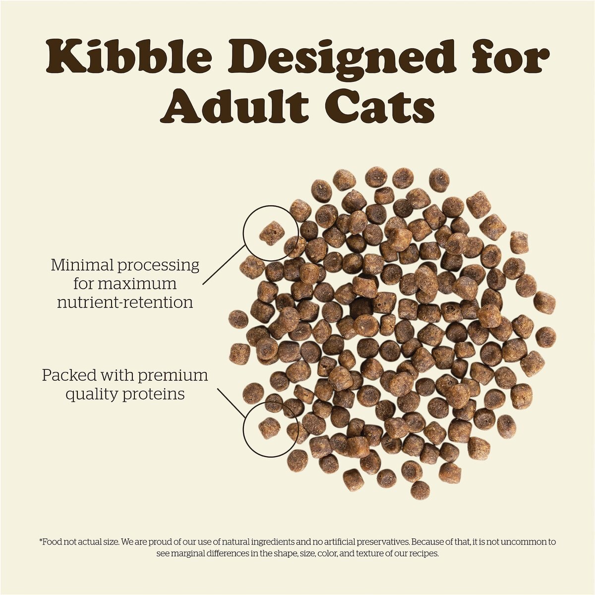 New Version Available - NOW FRESH Grain-Free Adult Formula Dry Cat Food ...