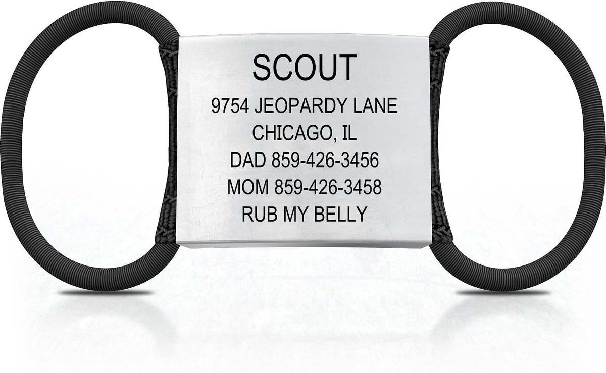 DOG ID Personalized Dog ID Tag, Slate, X-Large - Chewy.com