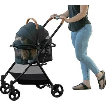 Pet Gear - Free shipping | Chewy