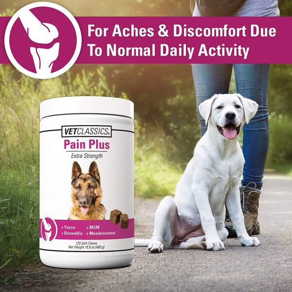 VETCLASSICS Pain Plus Extra Strength Soft Chews Dog Supplement, 120 ...