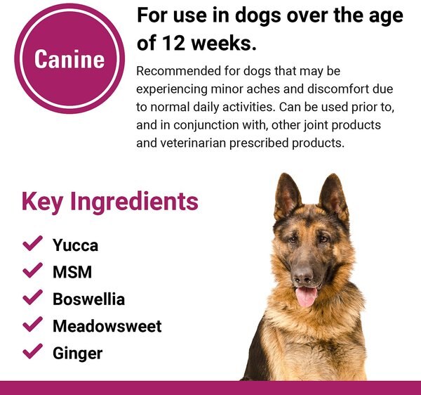 VETCLASSICS Pain Plus Extra Strength Soft Chews Dog Supplement, 120 ...