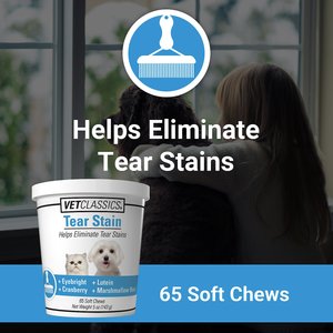 9 Best Eye Supplements for Dogs 2025: According to Reviews | Chewy