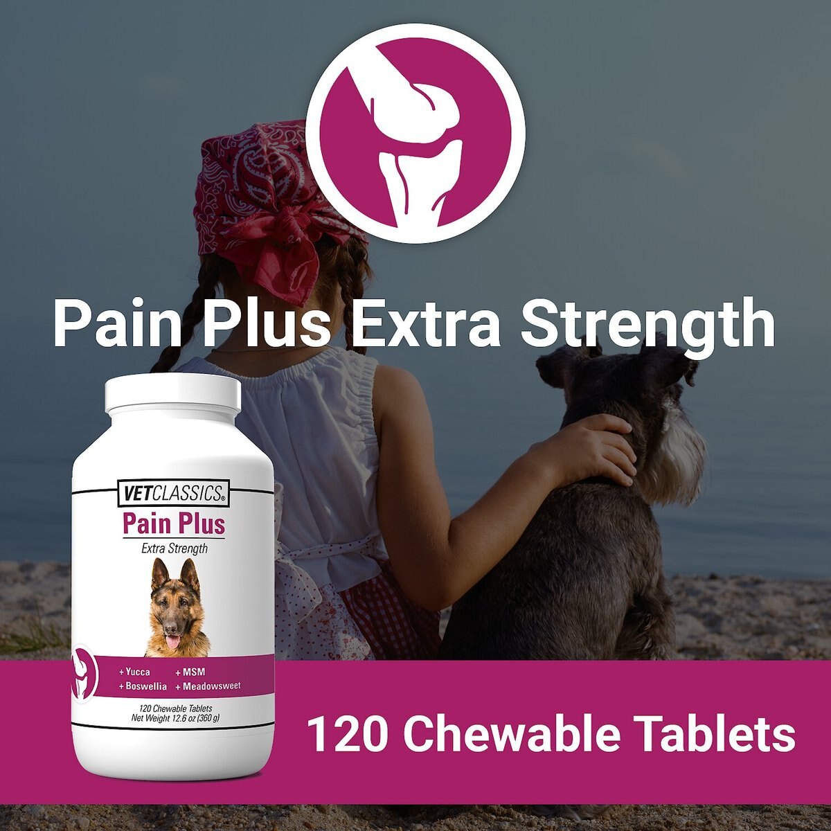 VETCLASSICS Pain Plus Extra Strength Chewable Tablets Dog Supplement ...