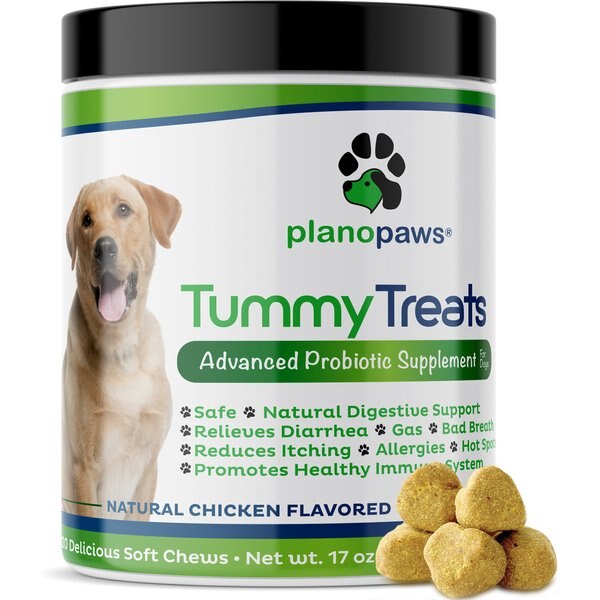 Out of Stock - PLANO PAWS Tummy Treats Advanced Probiotic Natural ...