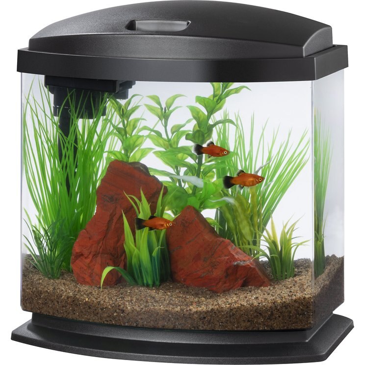 FRESHWATER FISH TANKS & AQUARIUMS (Free Shipping) | Chewy