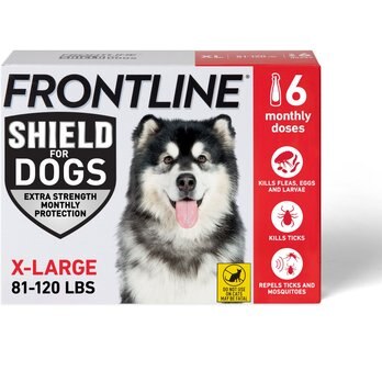 Frontline Shield for Dogs - Free shipping | Chewy