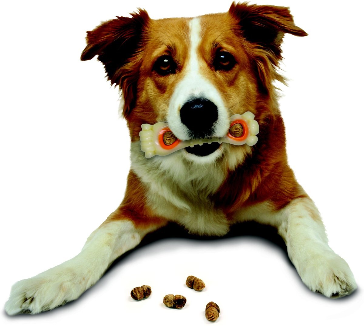 NYLABONE All-Natural Pop-In Dog Treat Refills Knuckle Bone Pop-In ...