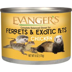 Best Ferret Food: Wet Food, Pellets & More - Low Prices (Free Shipping ...
