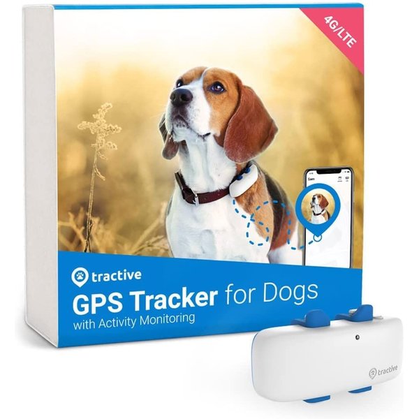 DOTT Smart Dog & Cat Tag Tracker, Golden - Chewy.com