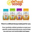New Version Available - SWHEAT SCOOP Easy Maintenance Natural Clumping ...