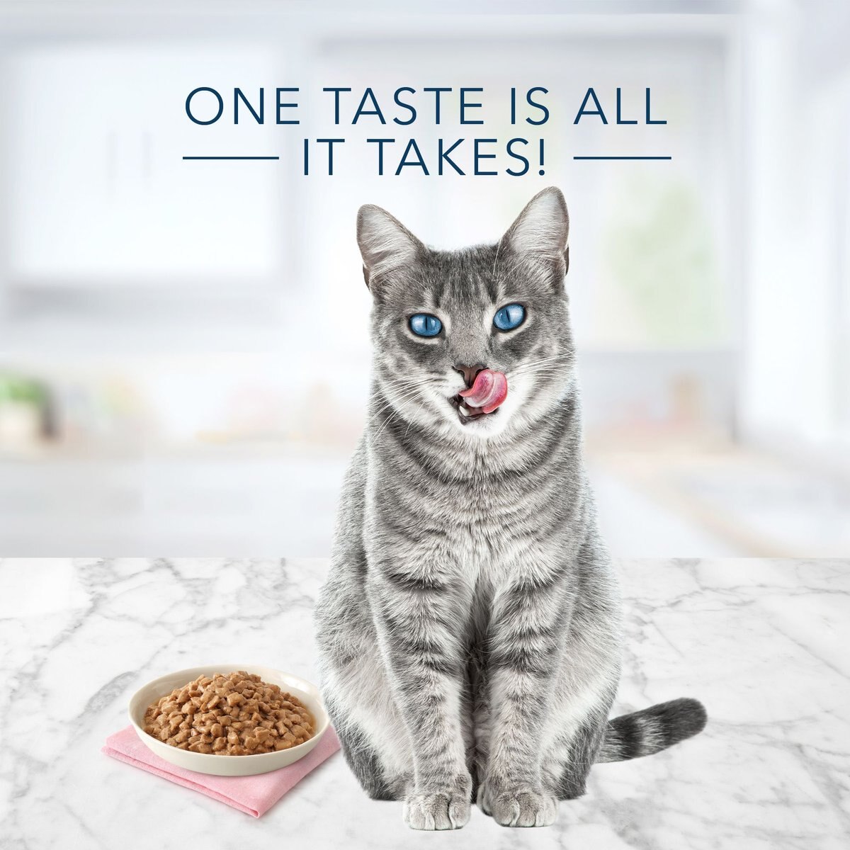 BLUE BUFFALO Tastefuls Tender Morsels Chicken Entrée Wet Cat Food, 3-oz ...