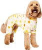 The Disney Collection at Chewy