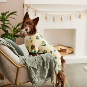 10 Best Dog Pajamas 2024: According to Reviews | Chewy
