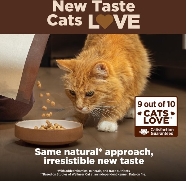 WELLNESS CORE Digestive Health Wholesome Grains Chicken & Rice Recipe ...