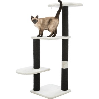 BLACK CAT TREES & CONDOS (Free Shipping) | Chewy
