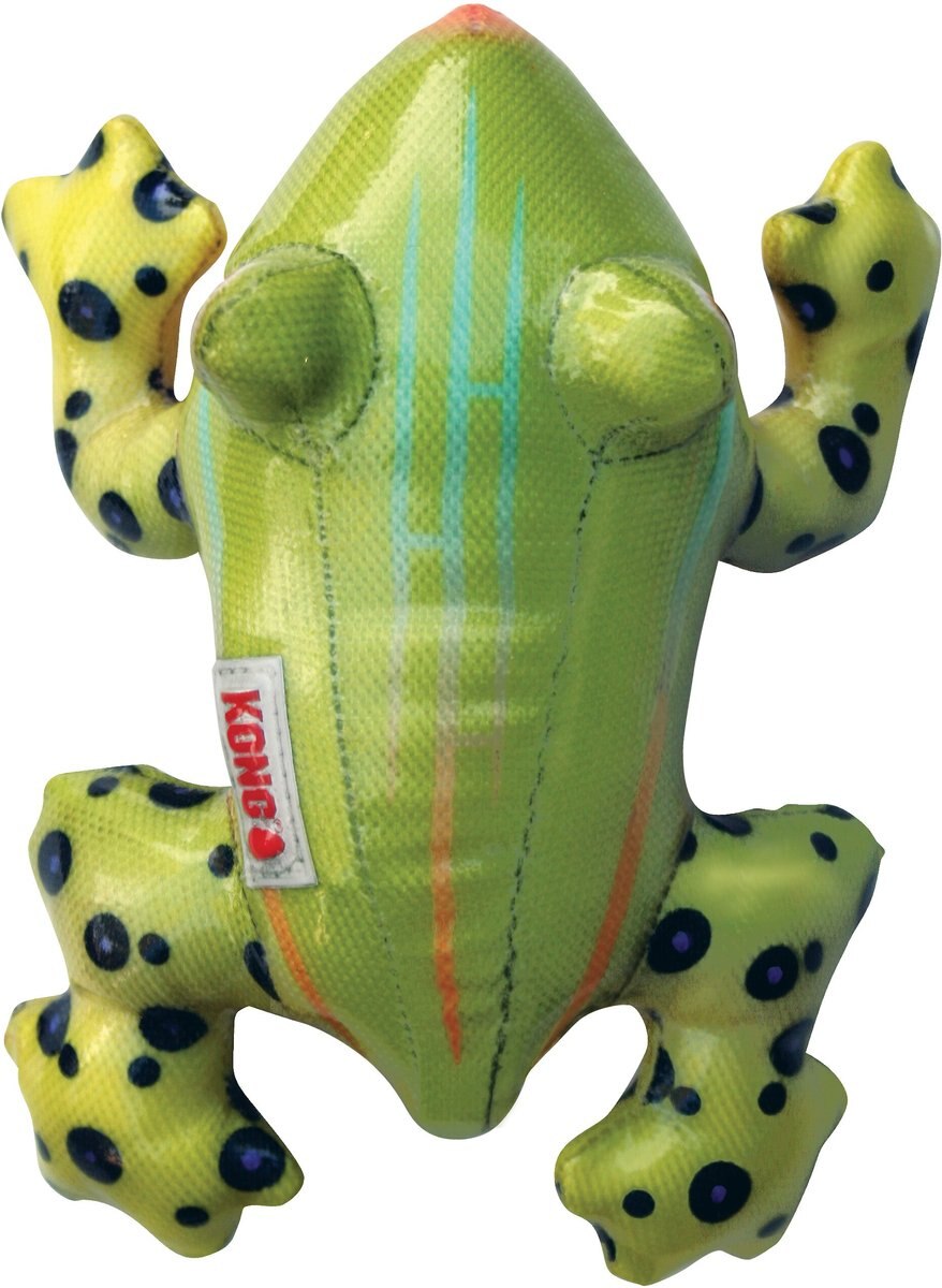 KONG Shieldz Tropics Frog Dog Toy - Chewy.com