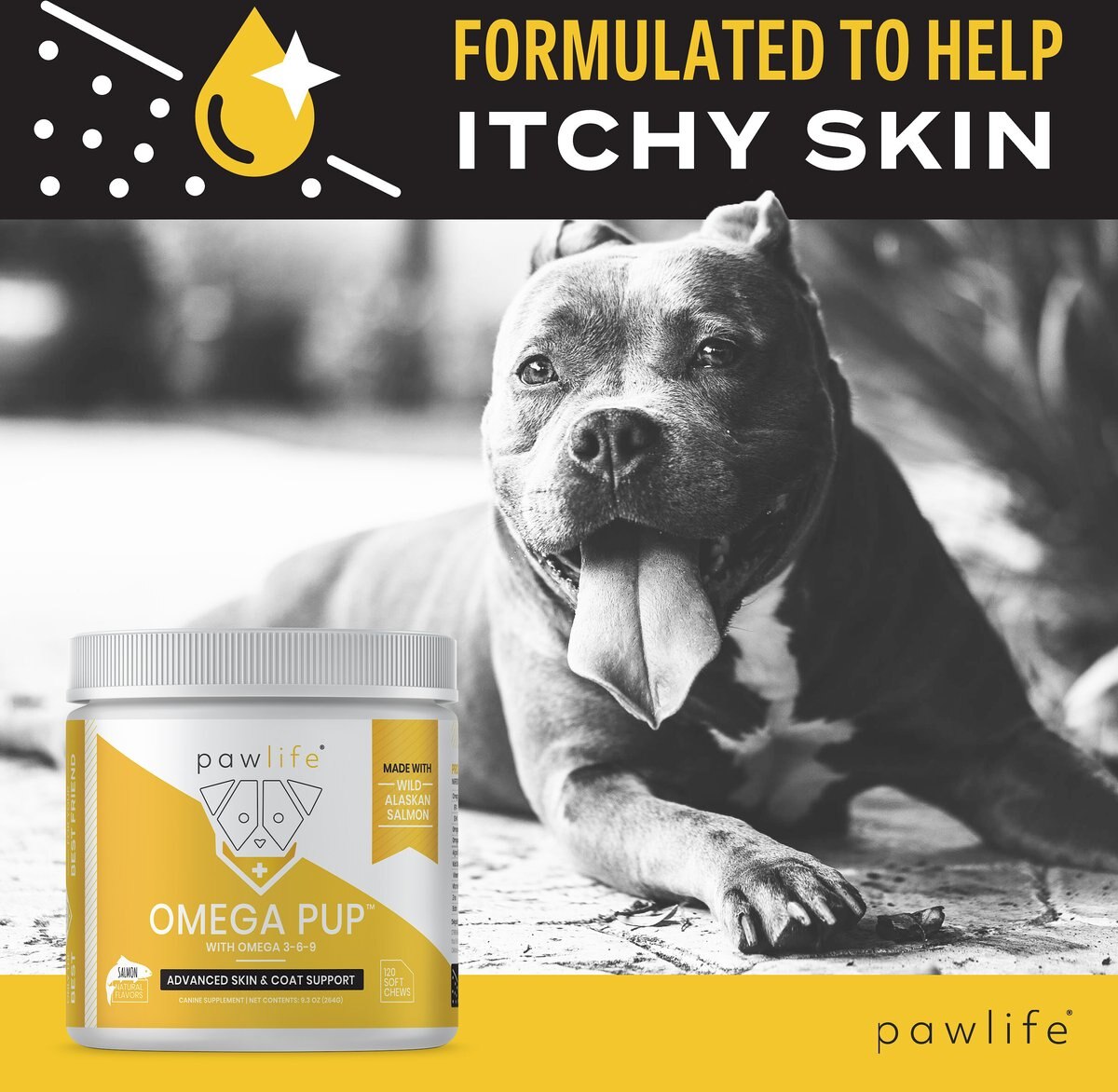 PAWLIFE Omega Pup Advanced Skin & Coat Support Salmon Flavor Soft Chews ...