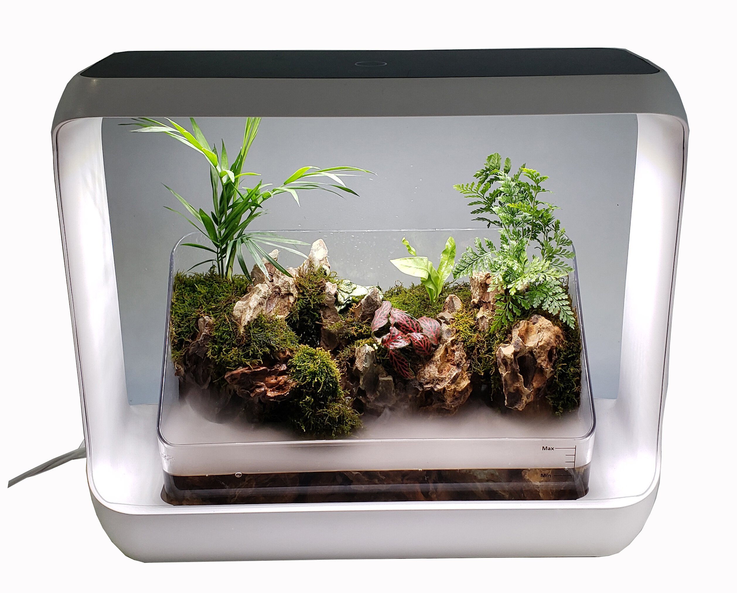 Questions and Answers about LIFEGARD LED Rock Garden & Terrarium ...