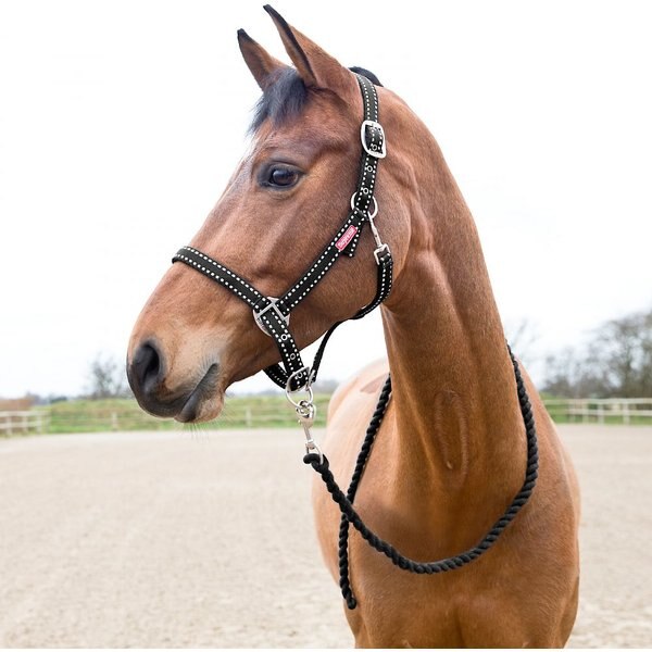 HORZE EQUESTRIAN Howard Horse Halter, Peacoat Dark Blue, Cob - Chewy.com