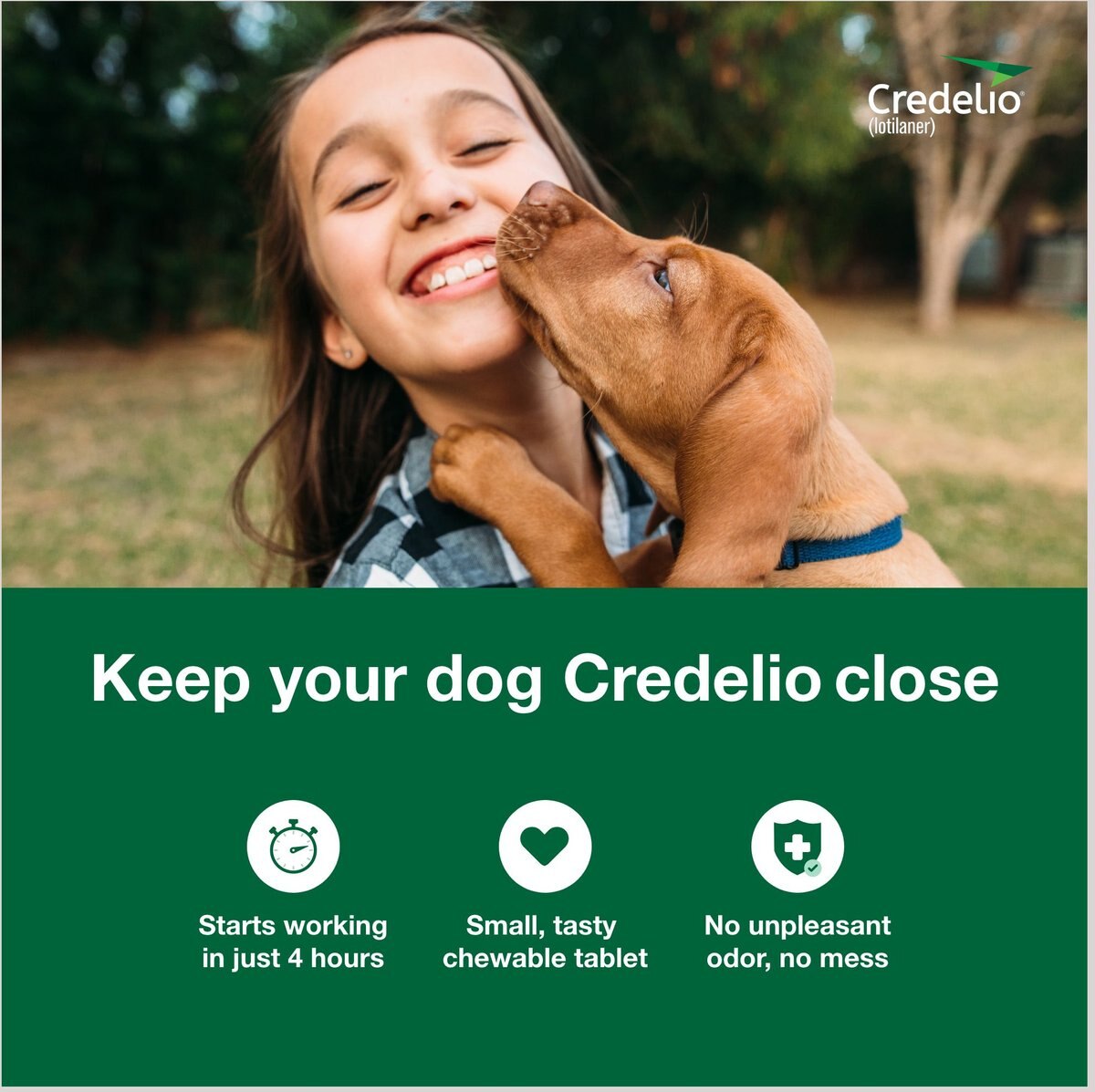 CREDELIO Chewable Tablet for Dogs, 4.4-6 lbs, (Yellow Box), 3 Chewable ...