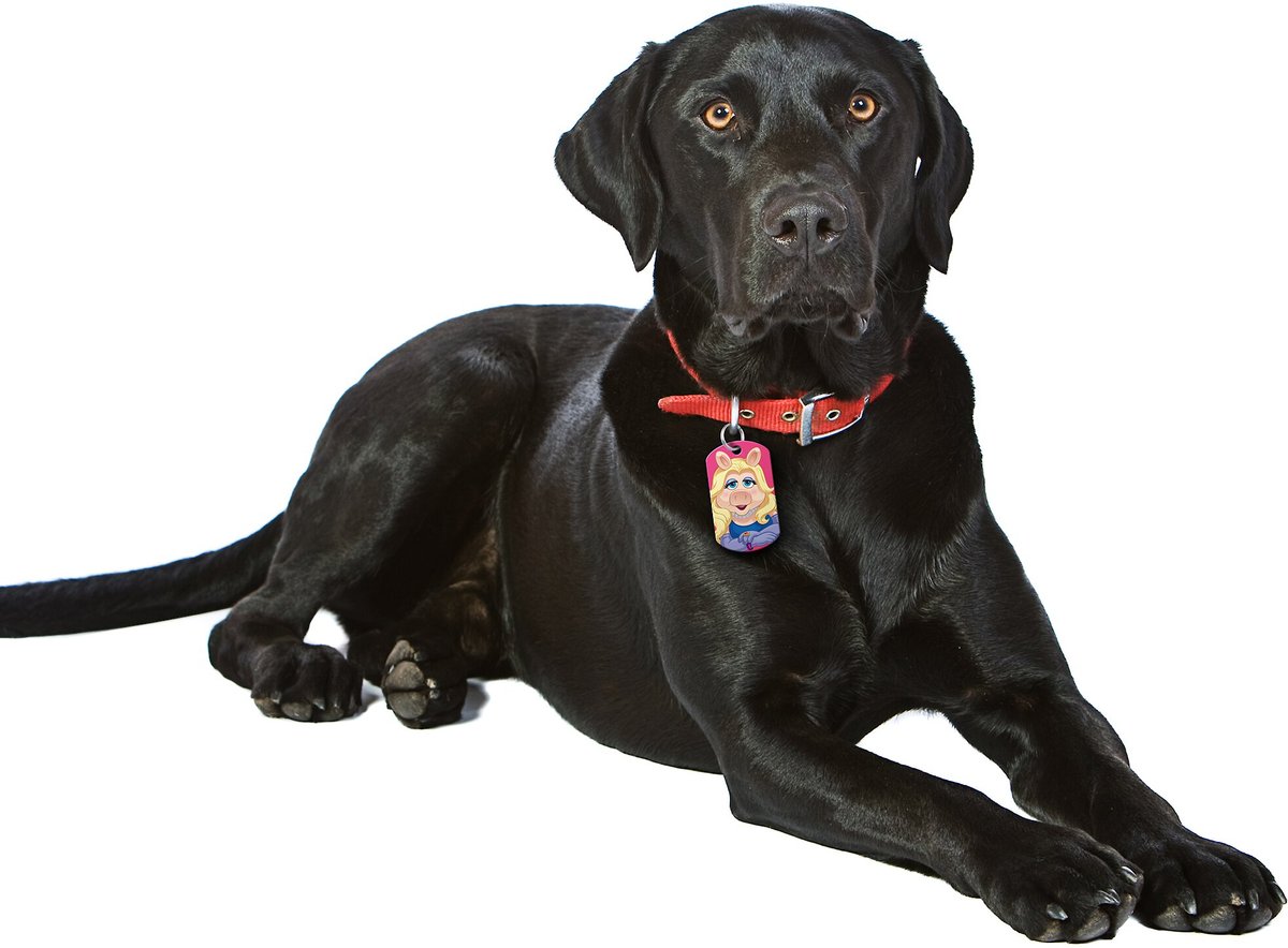 Temporarily Unavailable - QUICK-TAG Disney's Muppets Miss Piggy ...