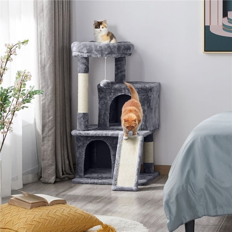 Medium Cat Trees & Condos: 31-59" Tall (Free Shipping) | Chewy