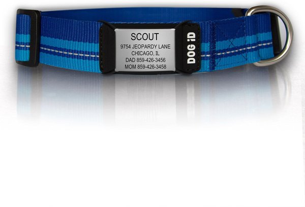 DOG ID The Rock Solid Personalized ID Tag Dog Collar, Slate, Blue ...