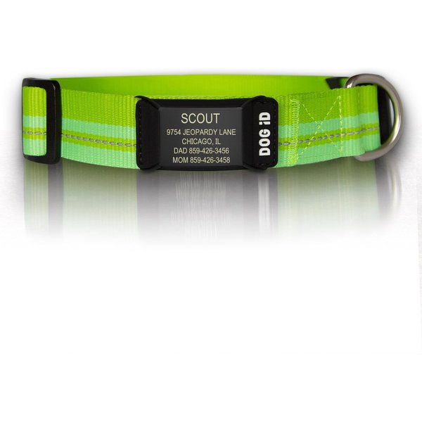 DOG ID The Rock Solid Personalized ID Tag Dog Collar, Slate, Green ...