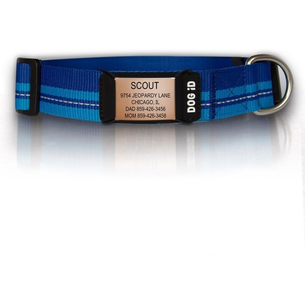 DOG ID The Rock Solid Personalized ID Tag Dog Collar, Graphite, Blue ...