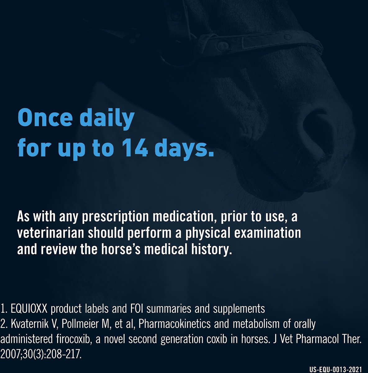 EQUIOXX (Firocoxib) Tablets for Horses, 57 mg, 1 tablet - Chewy.com