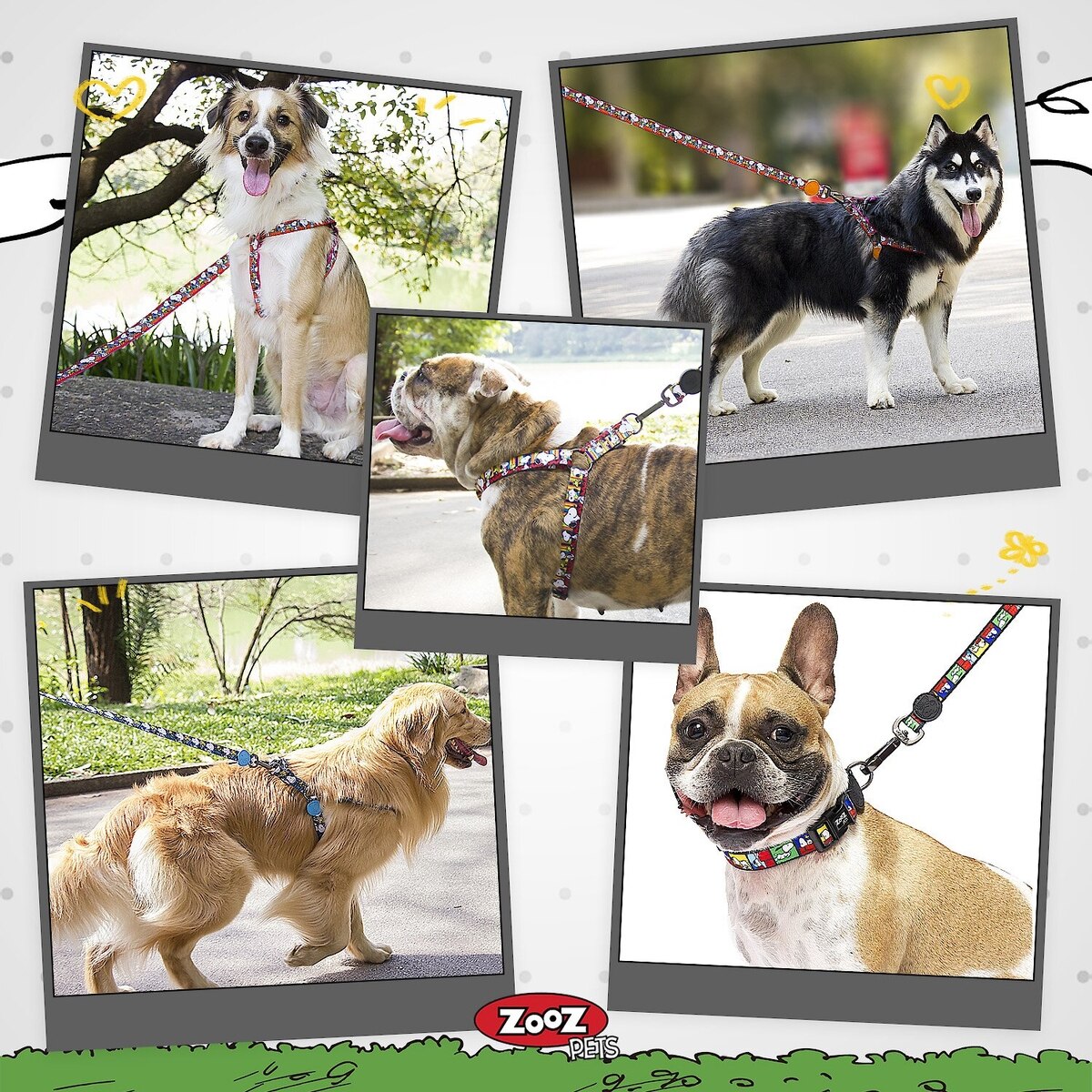 Discontinued - ZOOZ PETS Filmstrip Snoopy Dog Leash, X-Small - Chewy.com