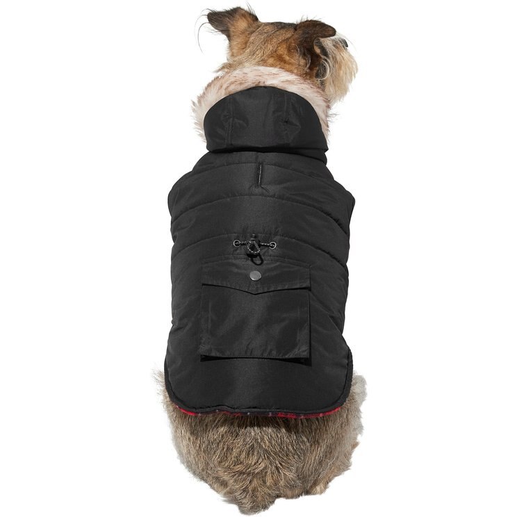 FRISCO DOG JACKETS (Free Shipping) | Chewy