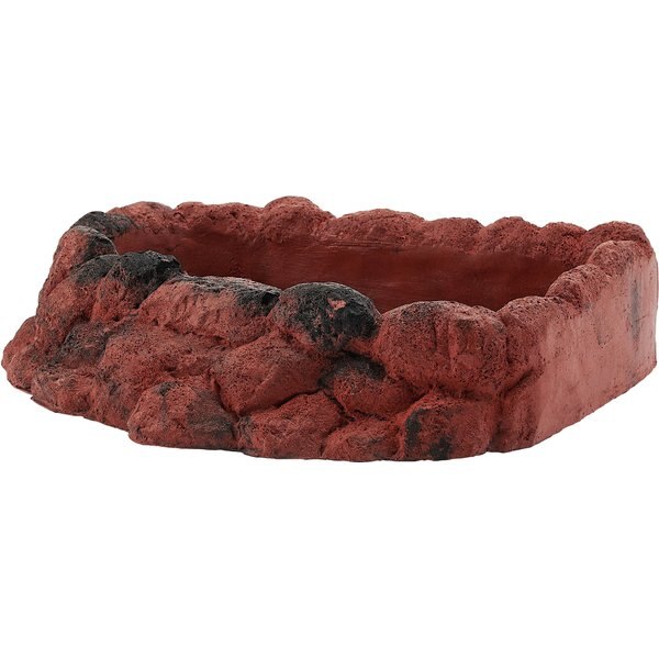 EXO TERRA Reptile Water Dish, Large - Chewy.com