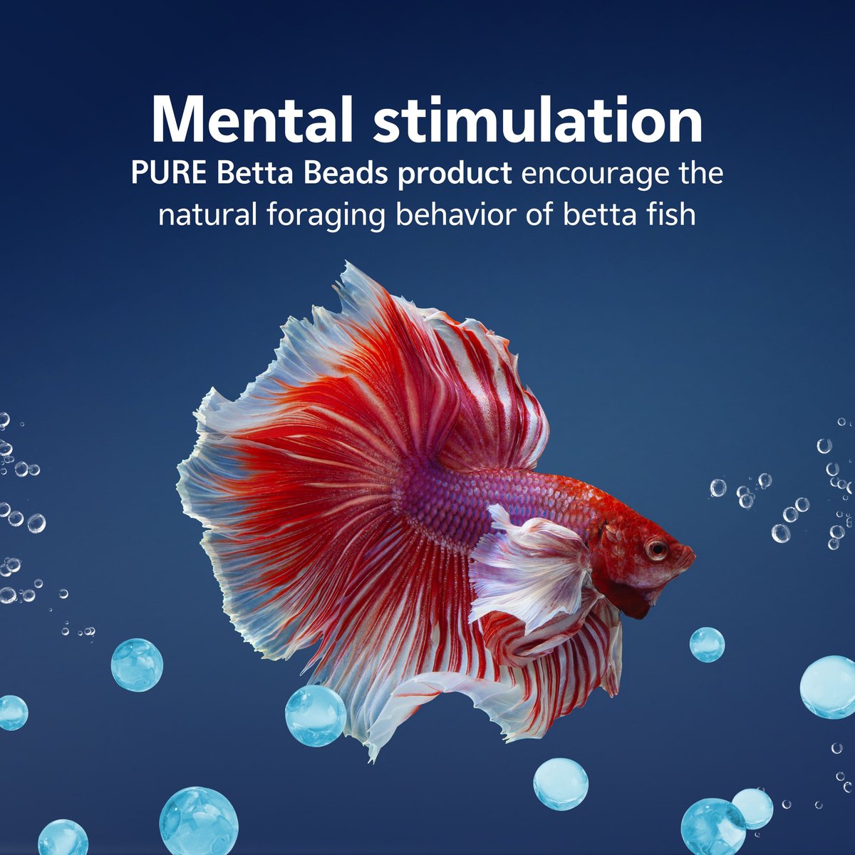 AQUEON PURE Betta Beads Aquarium Water Care, 8.8-oz bag, Blue - Chewy.com