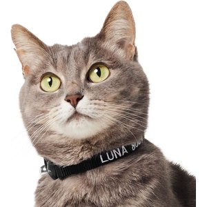10 Best Breakaway Cat Collars 2024: According to Reviews | Chewy