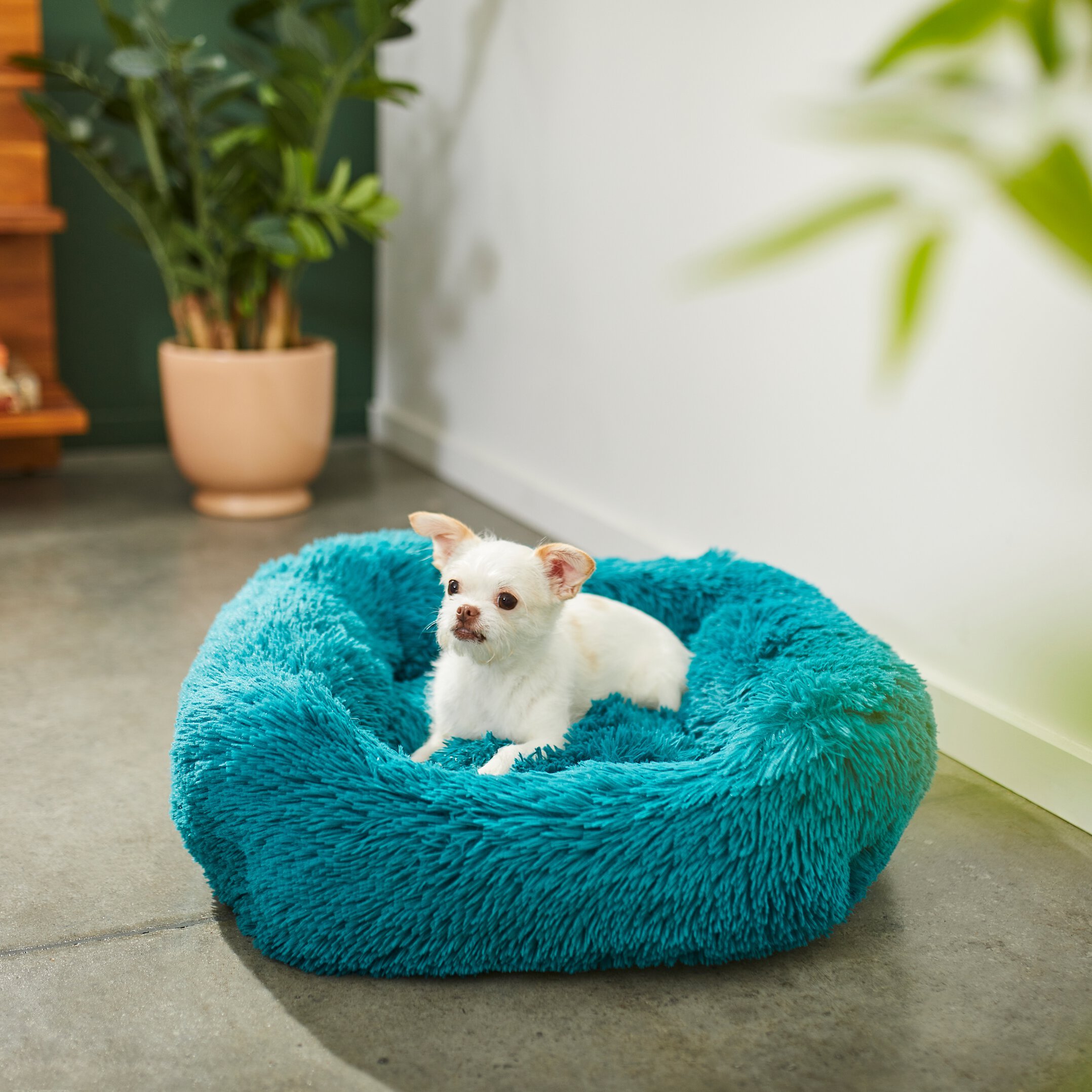Questions and Answers about FRISCO Long Faux Fur Bolster Cat & Dog Bed