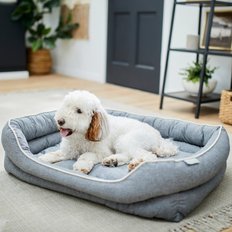Double Cat Bed (Free Shipping) | Chewy