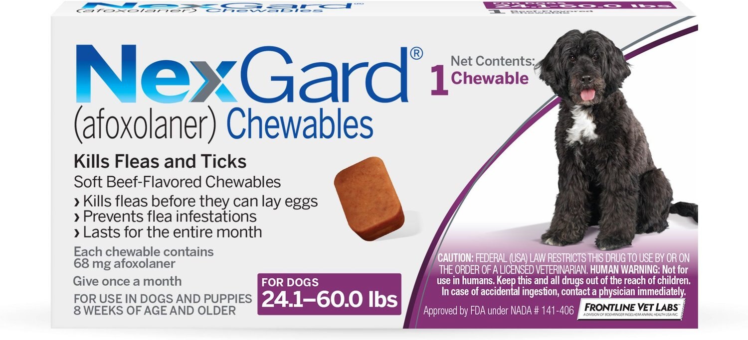 NEXGARD Chew for Dogs, 24.1-60 lbs, (Purple Box), 1 Chew (1-mo. supply ...