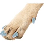 SOFT CLAWS Nail Caps for Dogs, 40 count, Medium, Black - Chewy.com