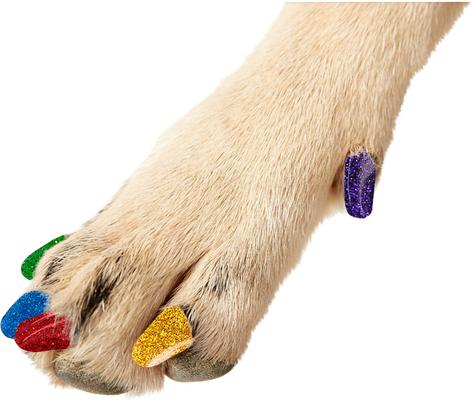 Discontinued - PURRDY PAWS Soft Dog Nail Caps, 40 count, Rainbow ...