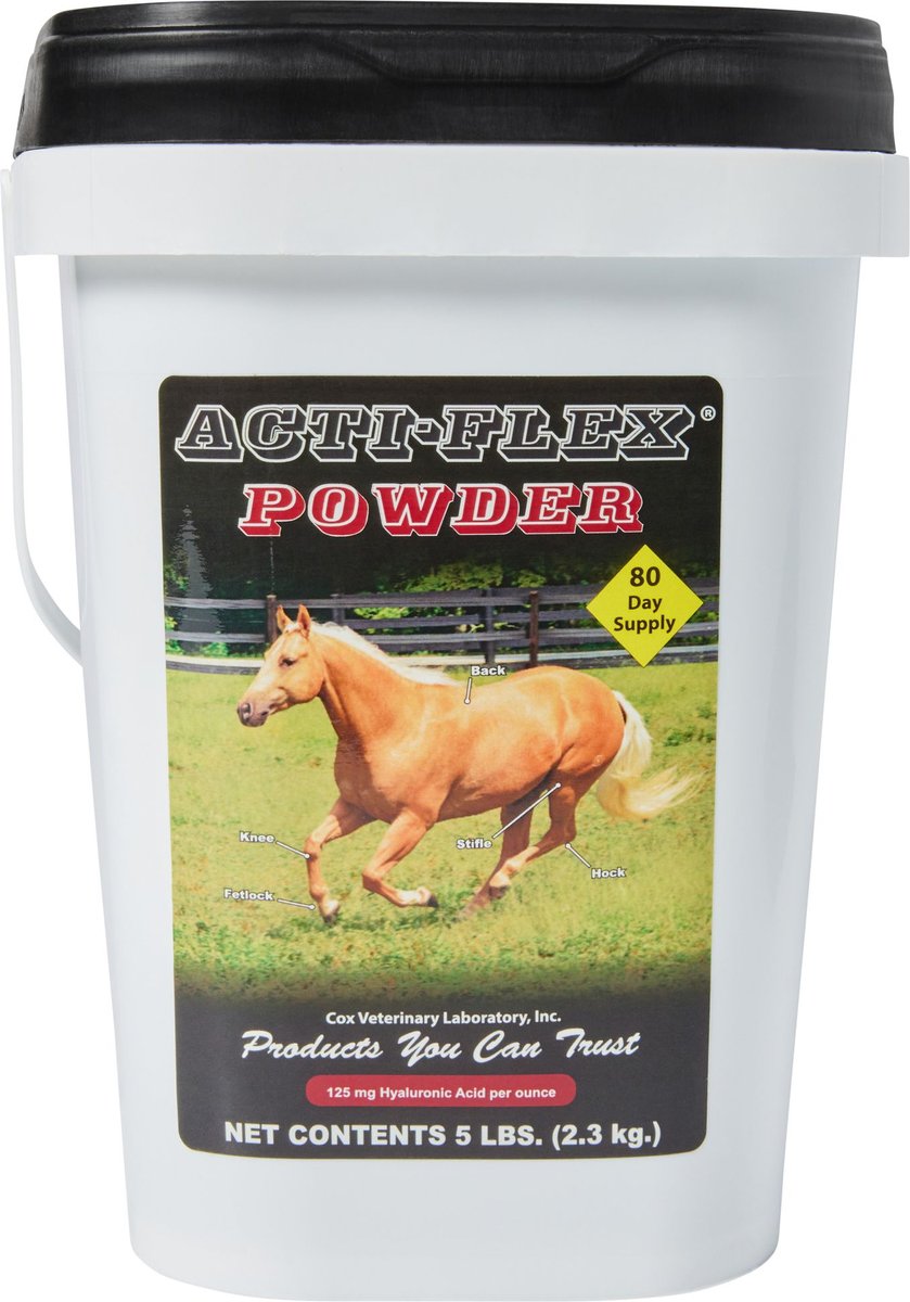 COX VET LAB Acti-Flex Powder Horse Supplement, 5-lb bucket - Chewy.com