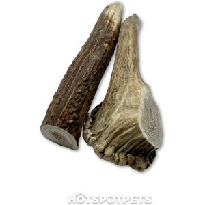 10 Best Dog Antlers 2024: According to Reviews | Chewy