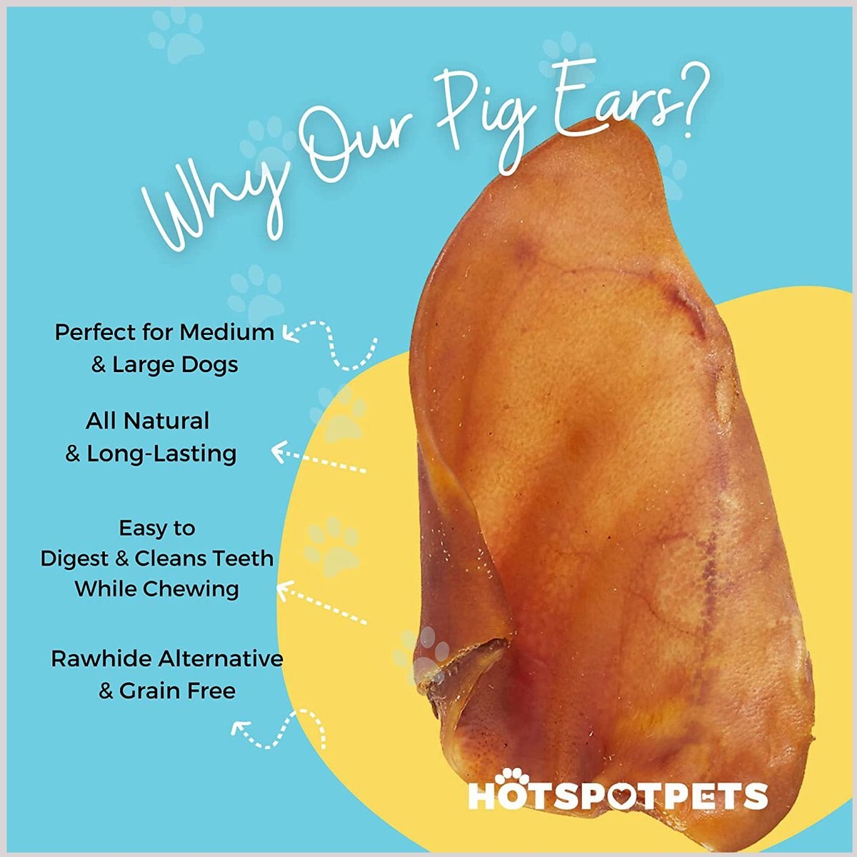 HOTSPOT PETS Large Whole Pig Ears Dog Chew Treats, 12 count - Chewy.com