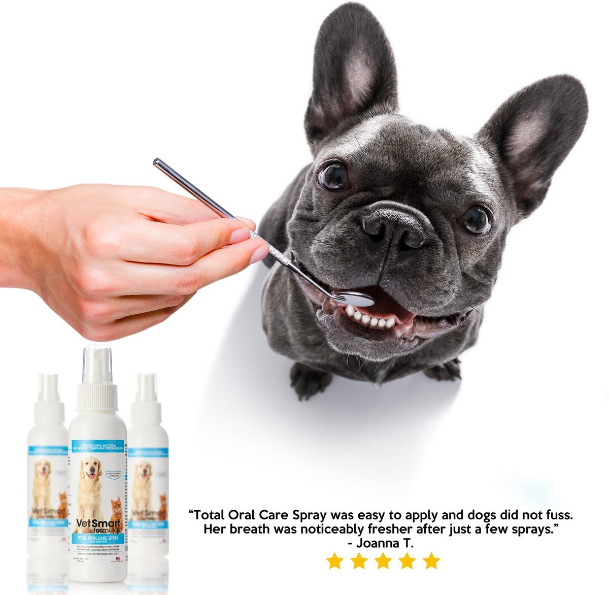 VETSMART FORMULAS Total Oral Care Dog & Cat Dental Spray, 4-oz bottle ...