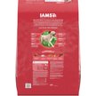 IAMS Lamb & Rice Recipe Large Breed Dry Dog Food, 40-lb bag - Chewy.com