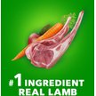 IAMS Lamb & Rice Recipe Large Breed Dry Dog Food, 40-lb bag - Chewy.com